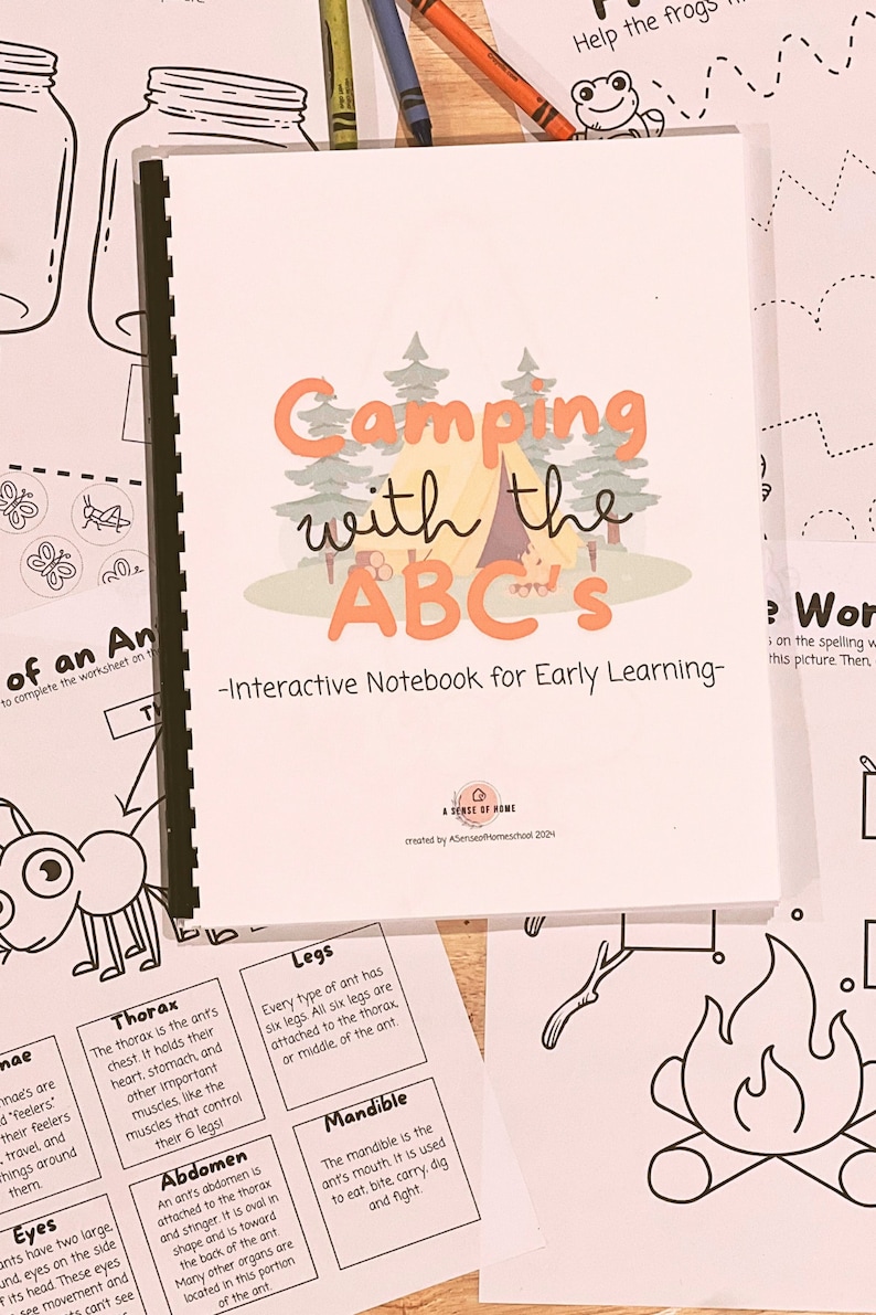 Interactive Notebook, Printables, Notebook, Camping Unit - Etsy