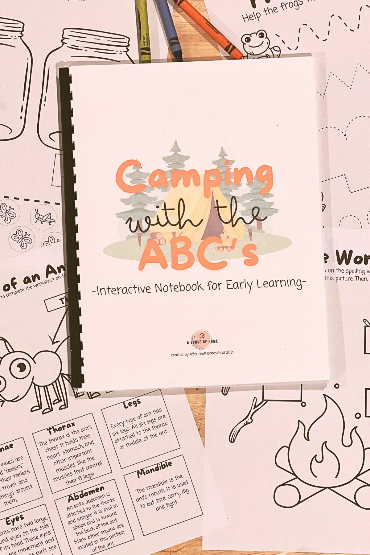 Interactive Notebook, Printables, Notebook, Camping Unit - Etsy