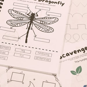 Interactive Notebook, Printables, Notebook, Camping Unit - Etsy