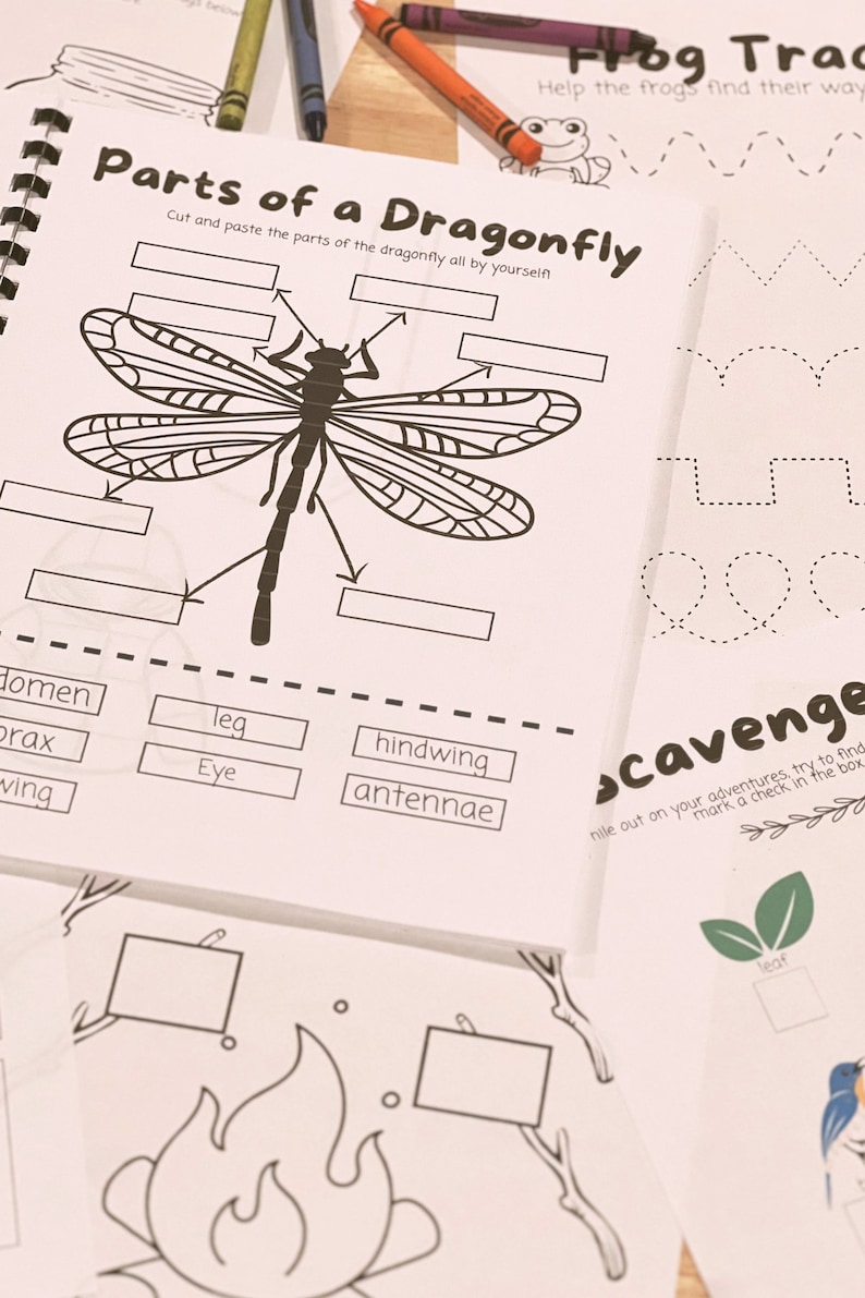 Interactive Notebook, Printables, Notebook, Camping Unit - Etsy