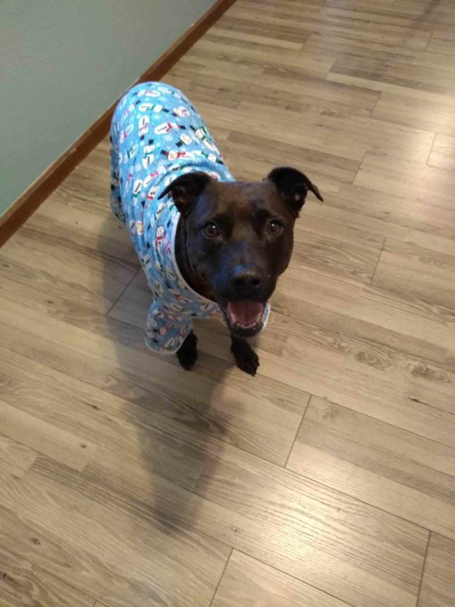 Dog Pajamas Zoo Animal Print Shirt Clothes for Large Pets | Etsy