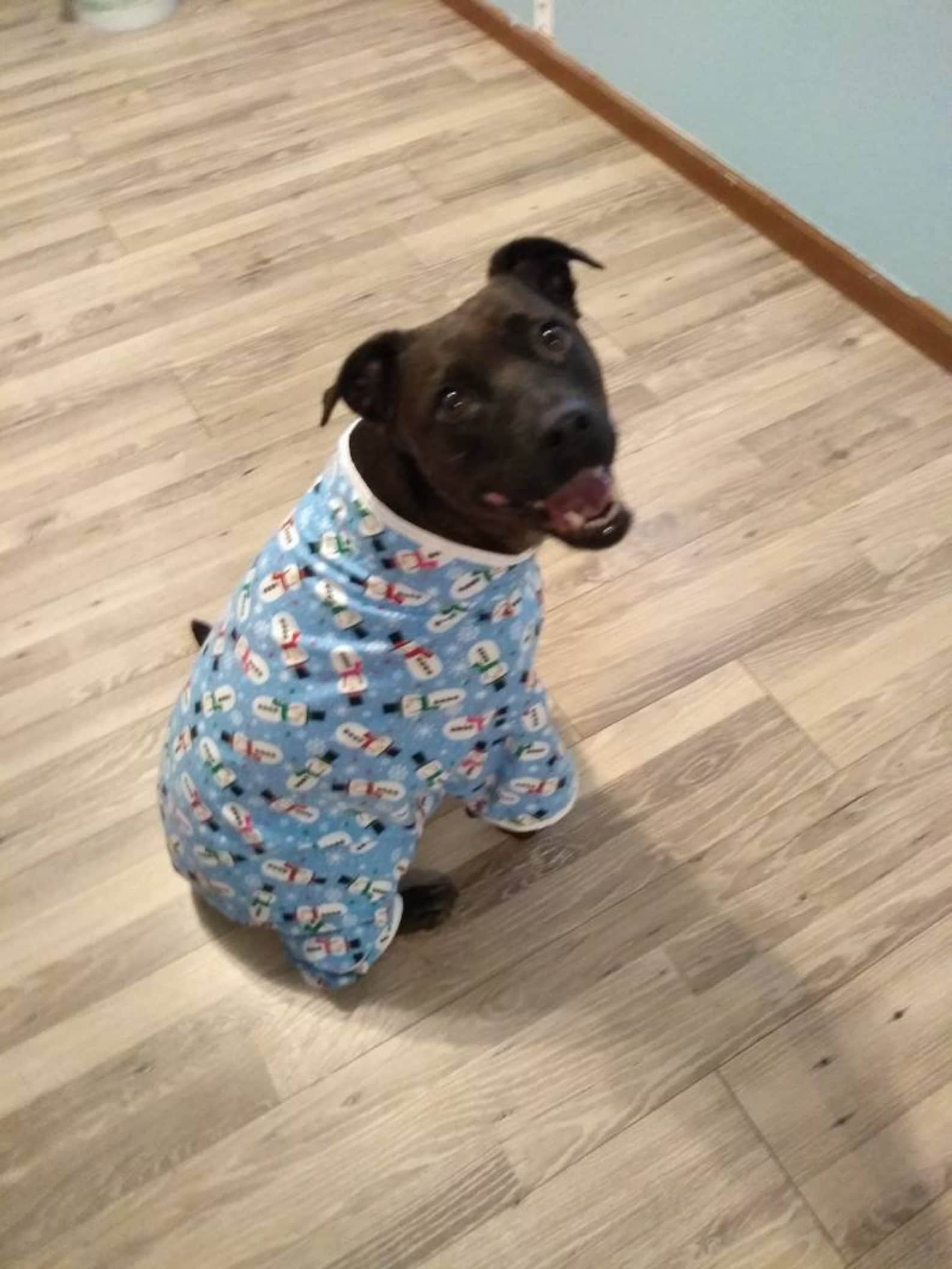 Dog Pajamas Zoo Animal Print Shirt Clothes for Large Pets | Etsy