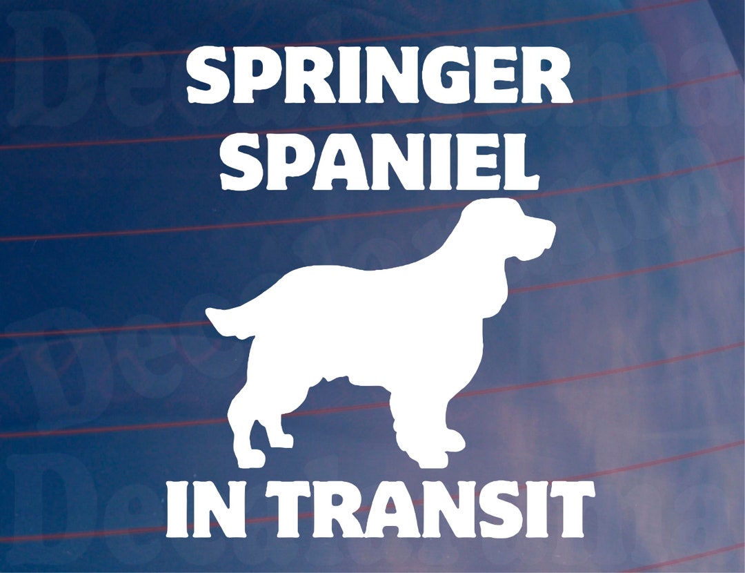 Car Sticker Springer Spaniel in Transit Nice Fun Cute Novelty Warning ...