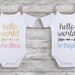 Hello World Newborn Outfit-personalized Newborn Bodysuit-baby | Etsy