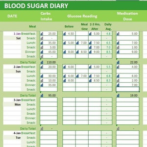 Blood Sugar Diary Excel Template, Carbs Glucose Levels Tracker ...