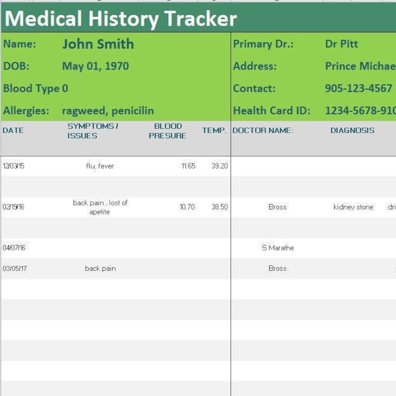 Medical Records Excel Template - Etsy