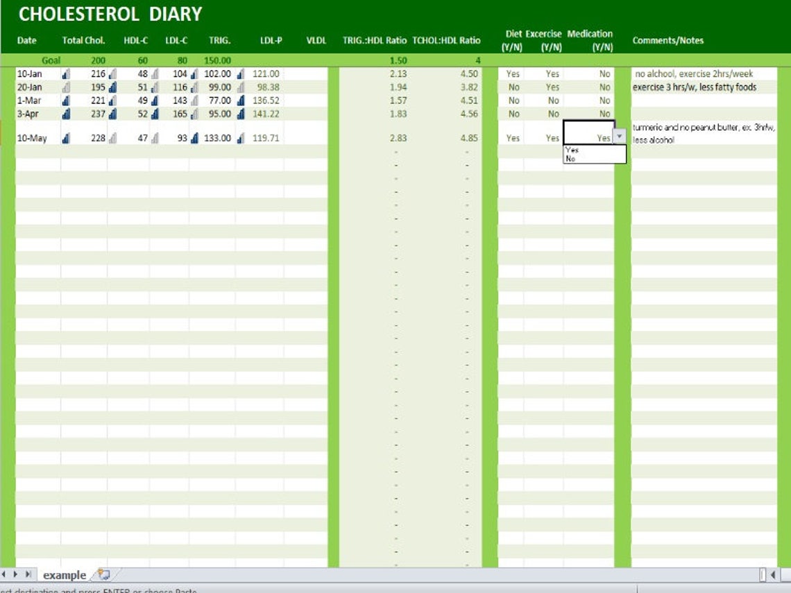 Cholesterol Diary Excel Template, Cholesterol Levels Tracker ...
