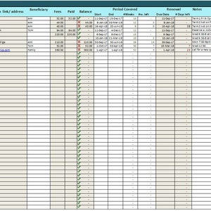 Prepayments Tracker Excel Template, Dues Log Spreadsheet, Subscriptions ...