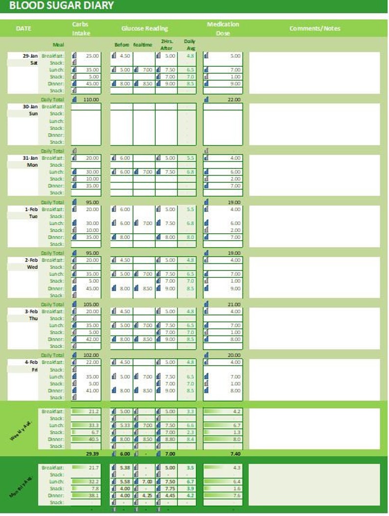 Blood Sugar Diary Excel Template, Carbs Glucose Levels Tracker ...