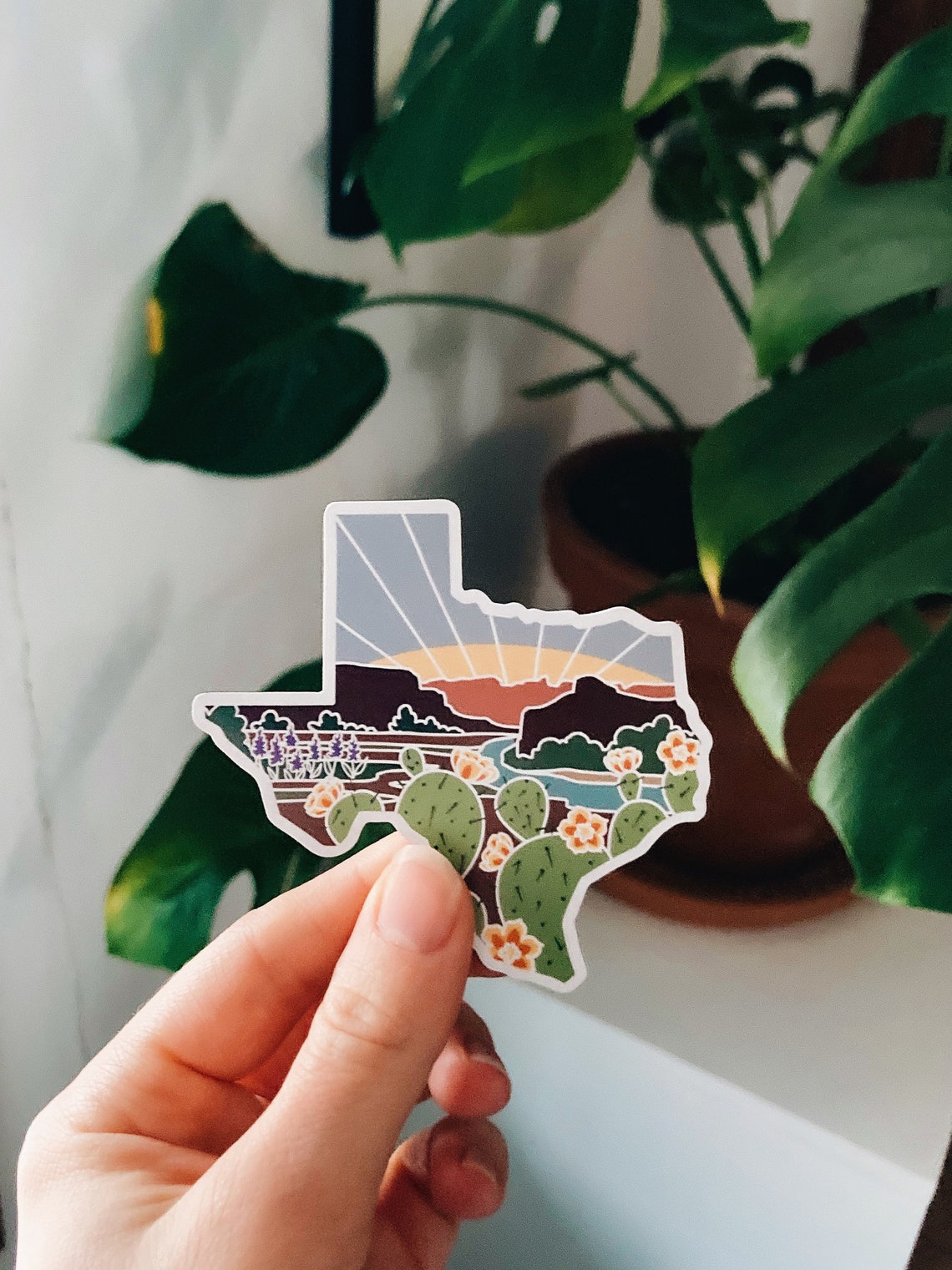 Texas Car Magnet Illustrated Weatherproof State Magnet | Etsy