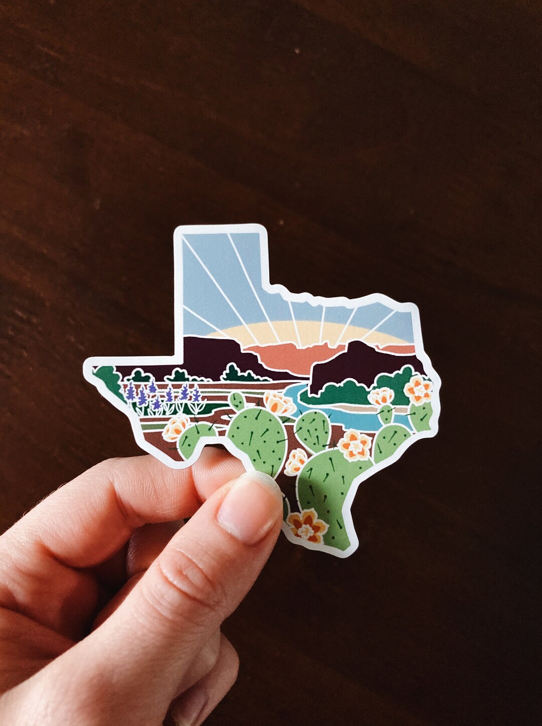 Texas Car Magnet Illustrated Weatherproof State Magnet Outdoorsy Magnet ...