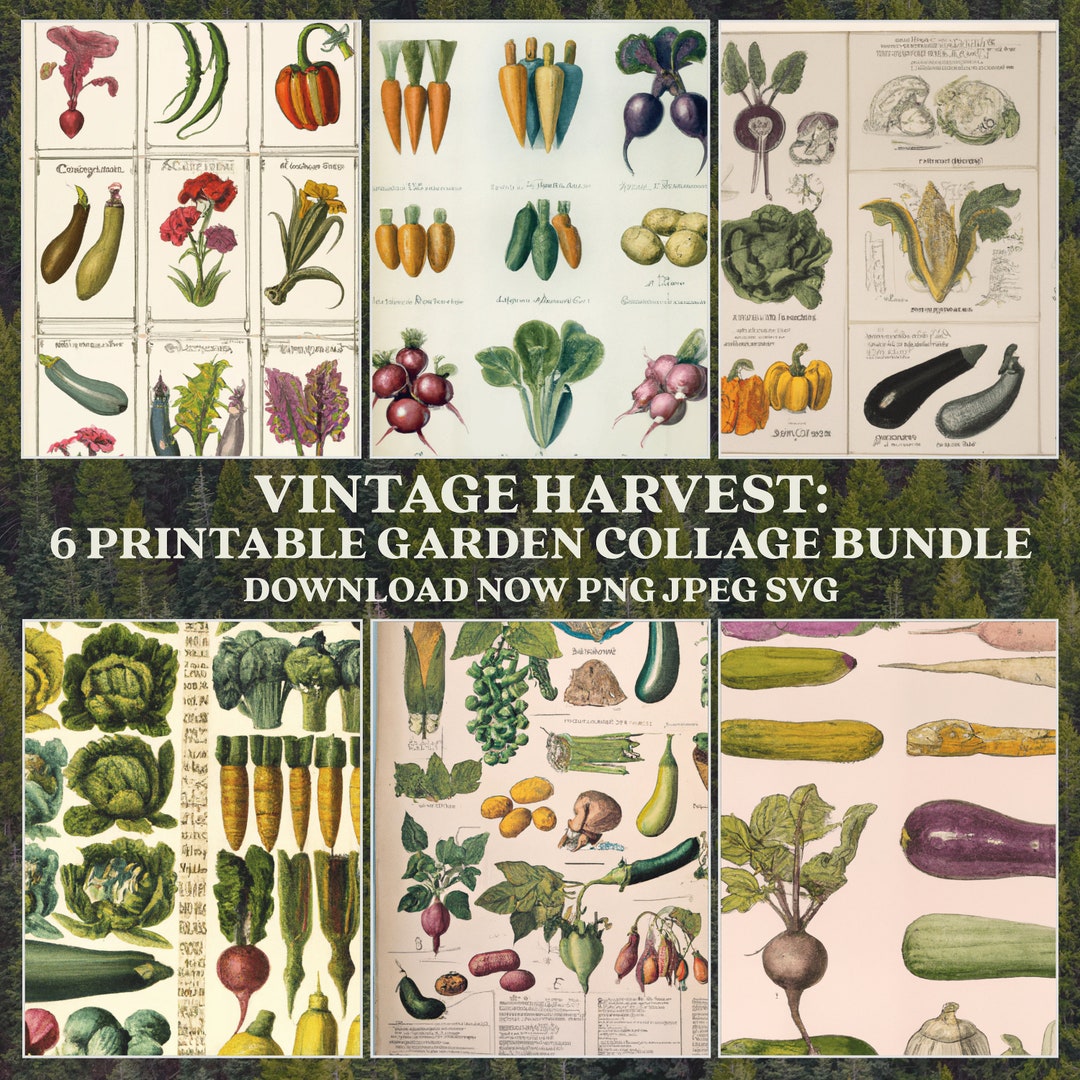 Vintage Harvest: 6 Printable Garden Collage Bundle Download Now PNG ...