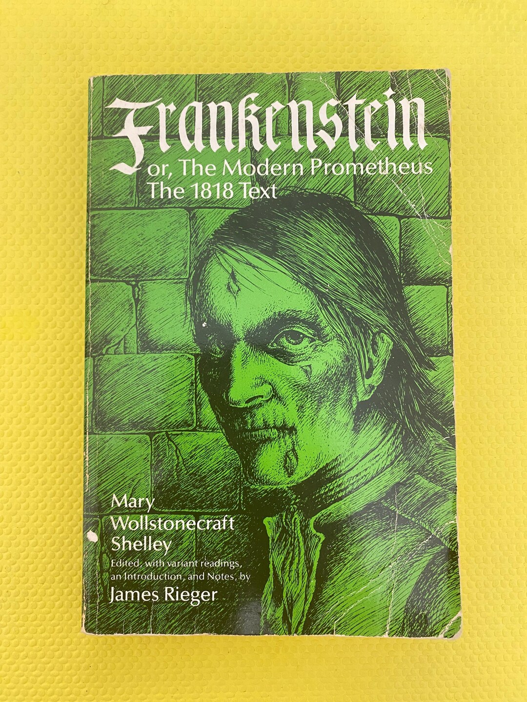 Frankenstein Or, the Modern Prometheus the 1818 Text Mary ...
