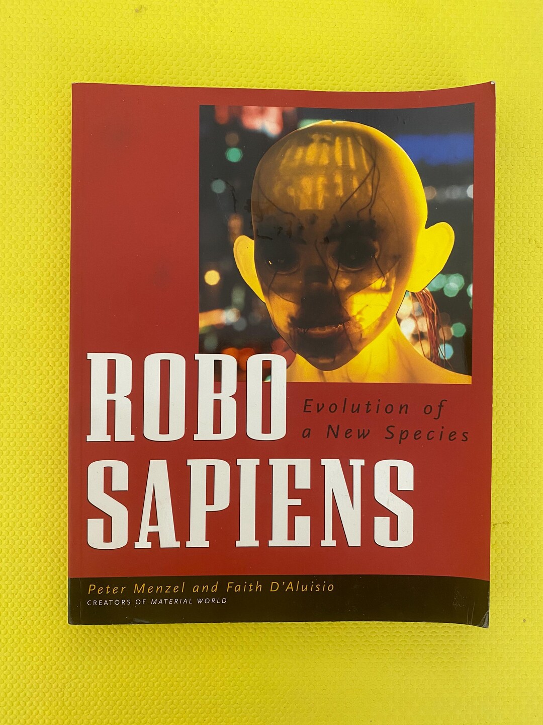 Robo Sapiens Evolution of A New Species Peter Menzel and Faith D ...