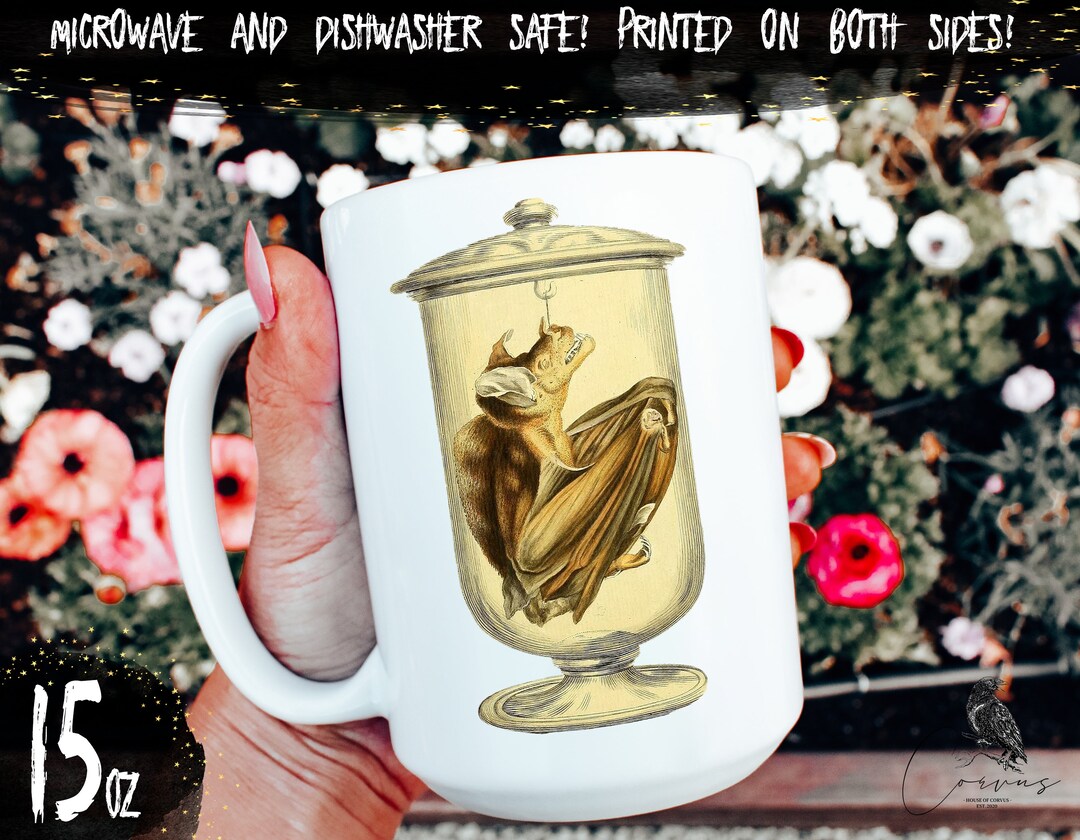15oz CERAMIC MUG, Wet Specimen Bat , Taxidermy, Pinned Bat, Bats, Bat ...