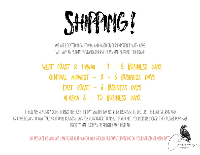 15oz CERAMIC MUG, Wet Specimen Bat , Taxidermy, Pinned Bat, Bats, Bat ...