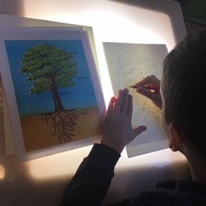 Montessori Materials, Parts of a Tree Coloring Page, Montessori Botany ...