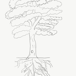 Montessori Materials, Parts of a Tree Coloring Page, Montessori Botany ...