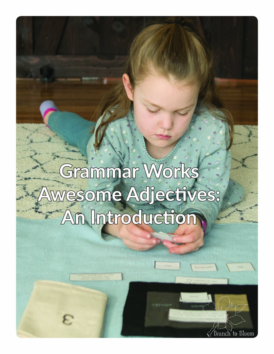 Montessori, Adjective Lesson Guide, Montessori Grammar, Montessori ...