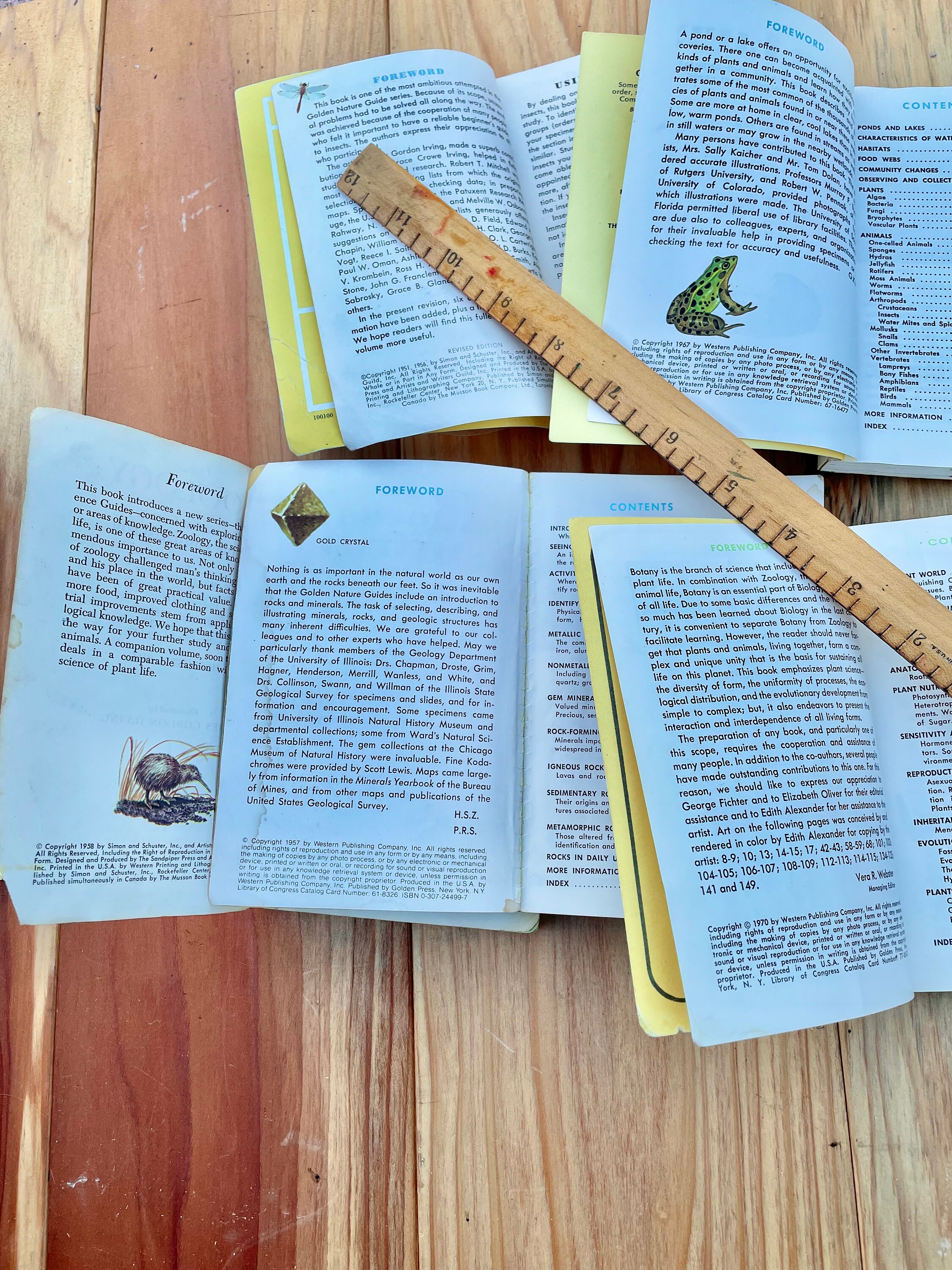 Vintage 1950s, 1960s, 1970s Golden Guide Science Botany, Pound Life ...