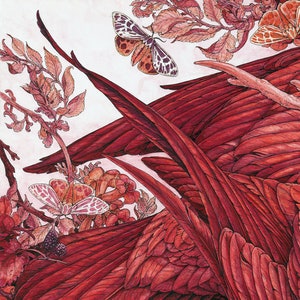 Red: Limited Edition Print - Etsy