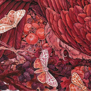 Red: Limited Edition Print - Etsy