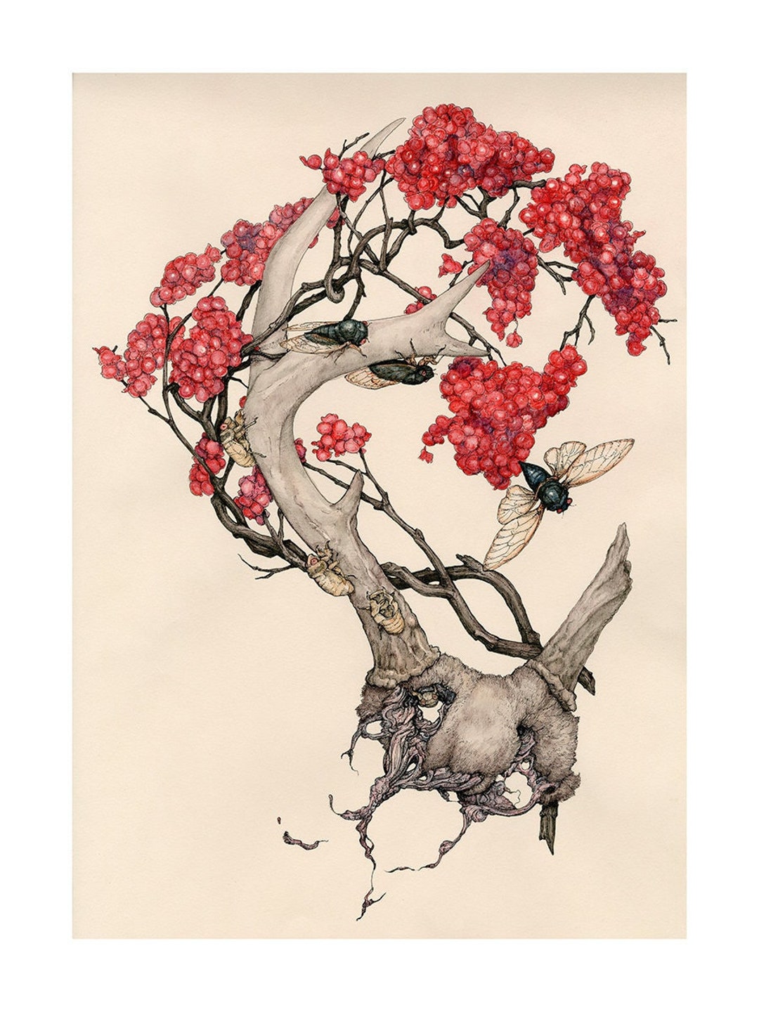 The Red Berries: Limited Edition 14in Print - Etsy