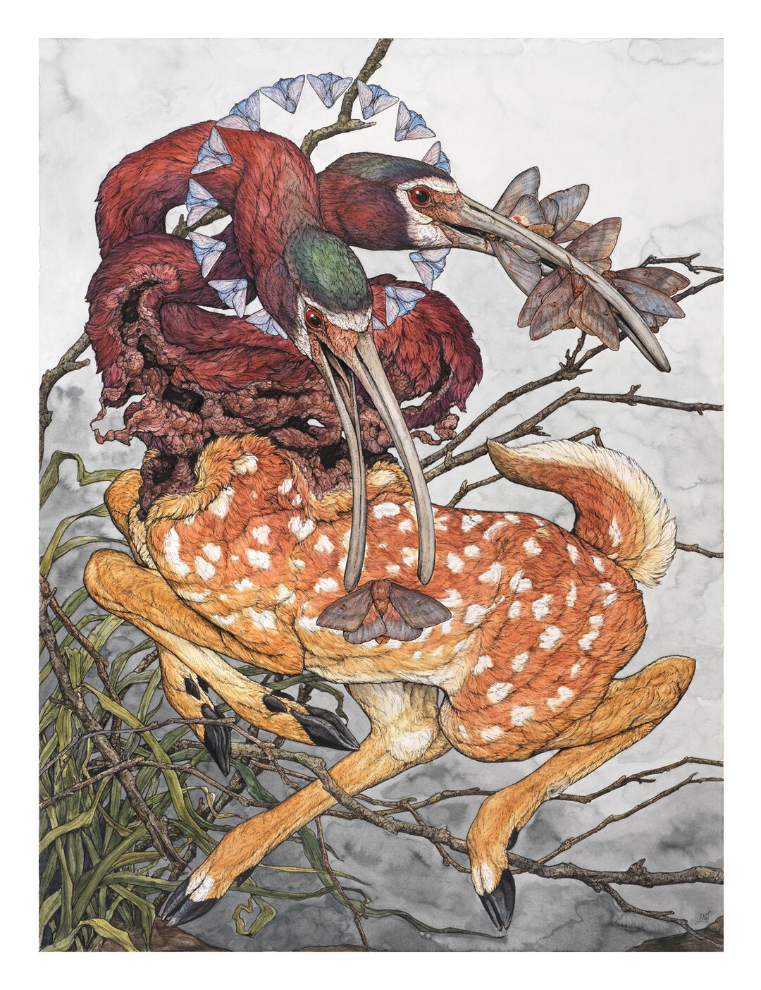 Devil Catcher: Limited Edition AP Print - Etsy