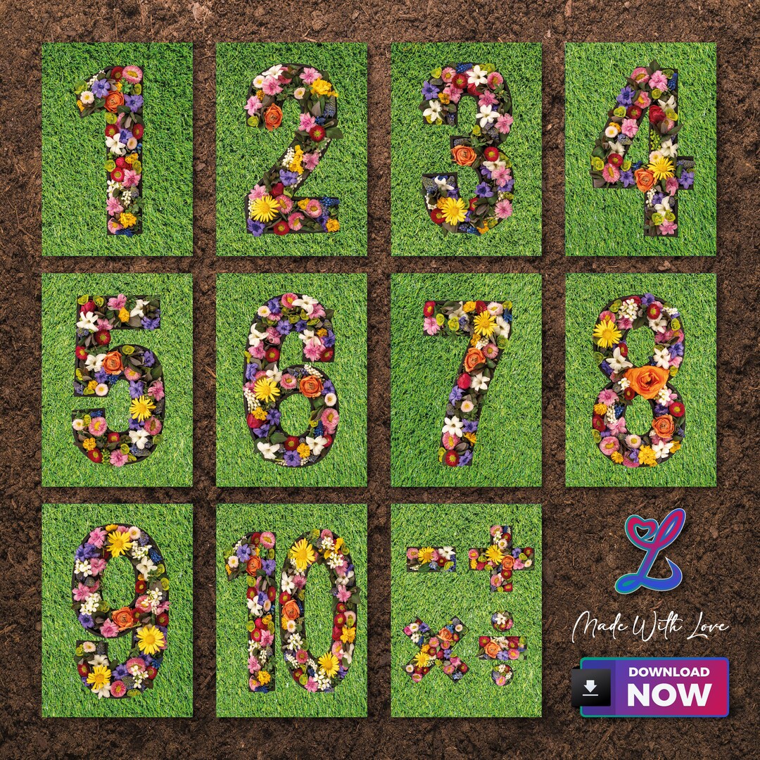Nature Floral Number Cards 0-10 and Symbol Set on Grass | EYFS Resource ...
