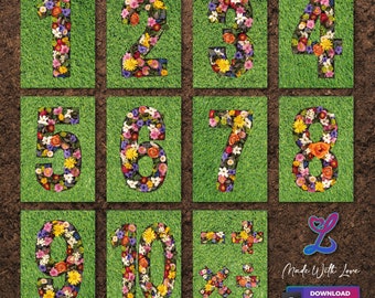 Nature Floral Numbers 0-10 & Symbol Set on Wood | EYFS Resource ...