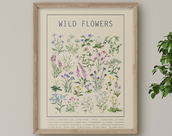 Wild Flowers Poster Light | Floral Wall Art | Wall Chart - Etsy Canada
