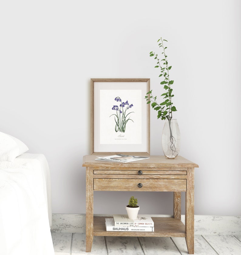 Bluebell, Wild Flower Print, Botanical Illustration, Wall Art - Etsy