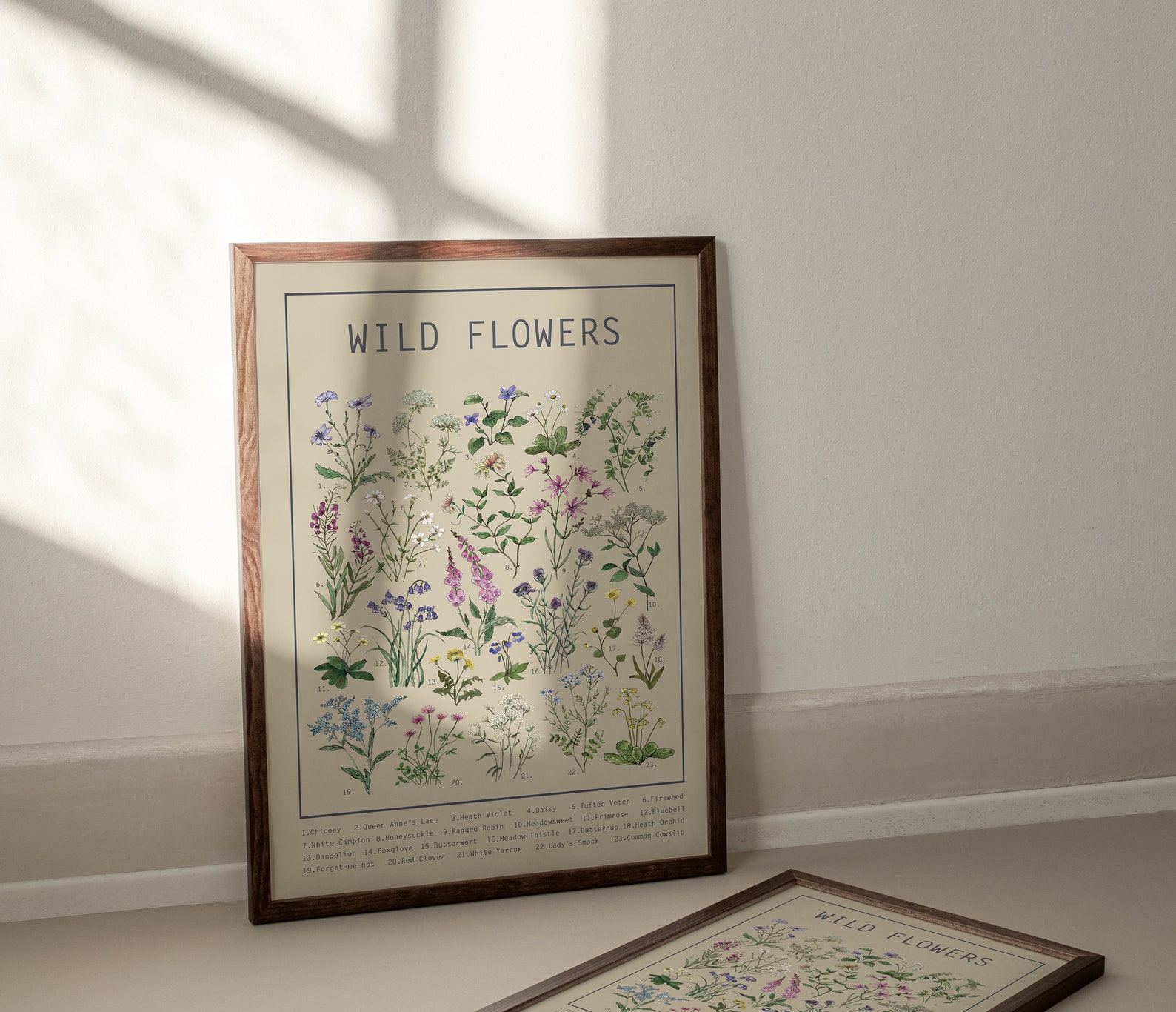 Wild Flowers Poster Light | Floral Wall Art | Wall Chart - Etsy Canada