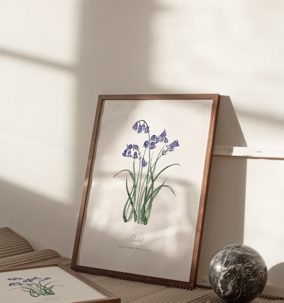 Bluebell, Wild Flower Print, Botanical Illustration, Wall Art - Etsy