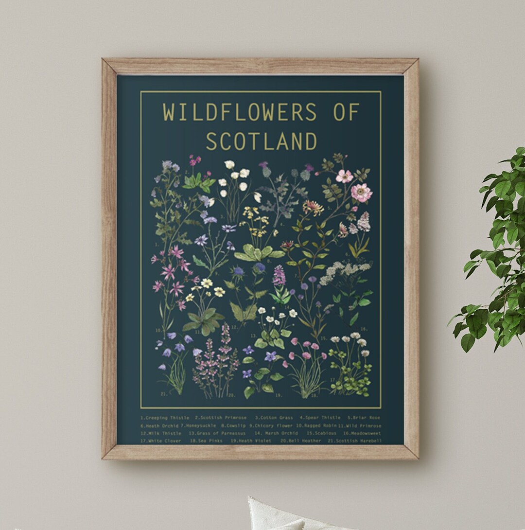 Wildflowers of Scotland Poster Dark | Floral Wall Art | Wall Chart - Etsy