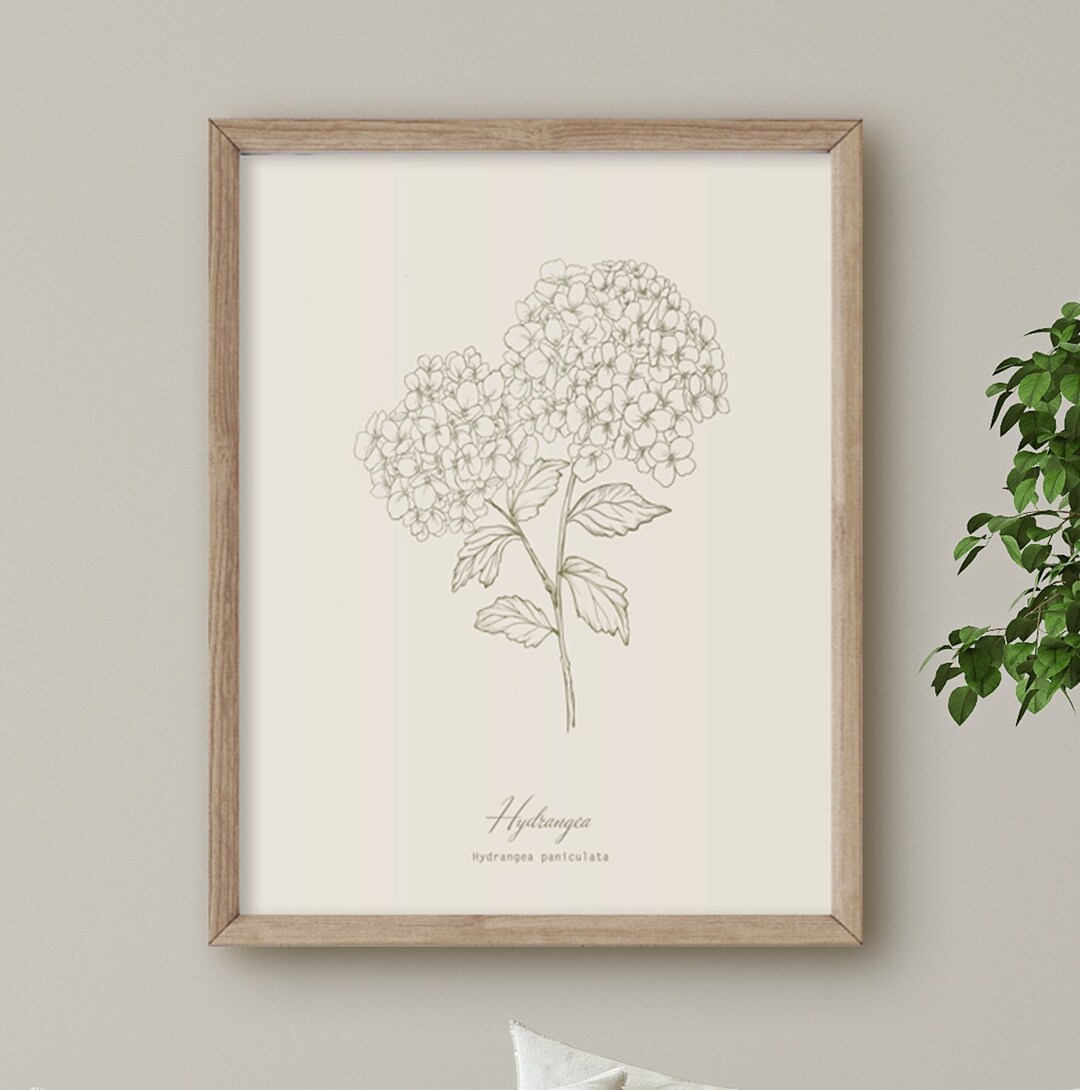 Hydrangea Botanical Floral, Neutral Minimalist Line Drawing, Wall Art ...