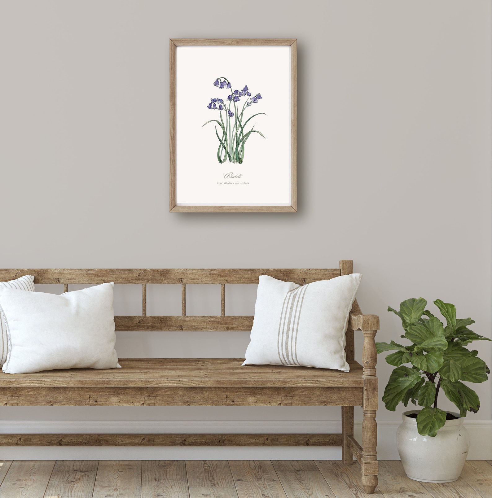 Bluebell, Wild Flower Print, Botanical Illustration, Wall Art - Etsy