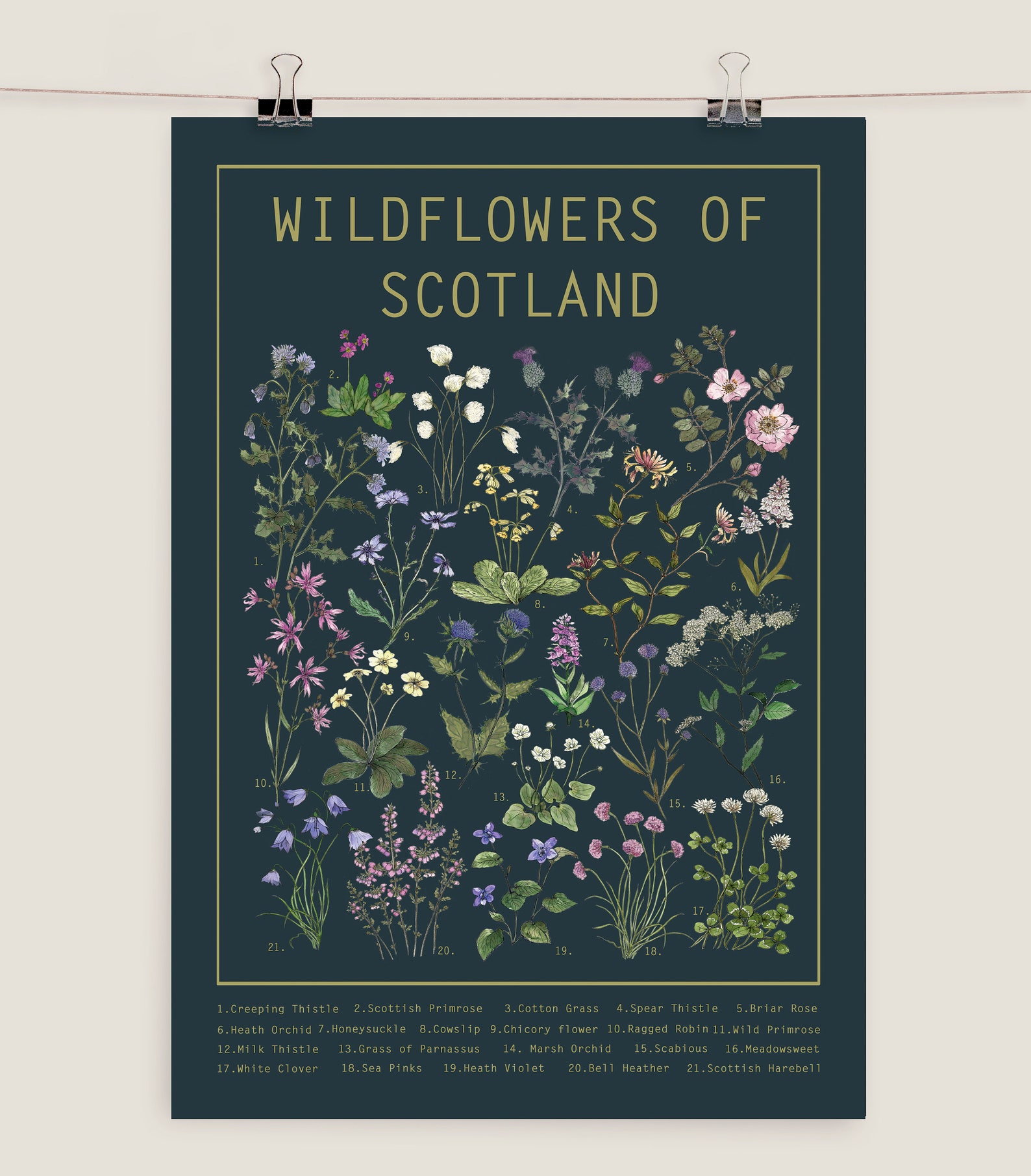 Wildflowers of Scotland Poster Dark | Floral Wall Art | Wall Chart - Etsy