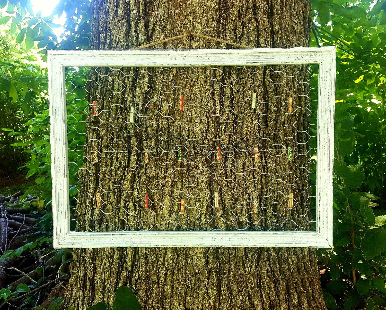 Chicken Wire Frame, 8x11 11x14 16x20 20x24 22x30, Farmhouse Chicken ...
