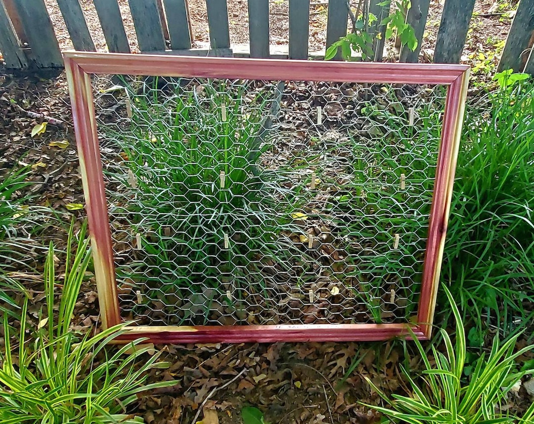 Cedar Chicken Wire Frames, Farmhouse Chicken Wire Frame, Aromatic Cedar ...