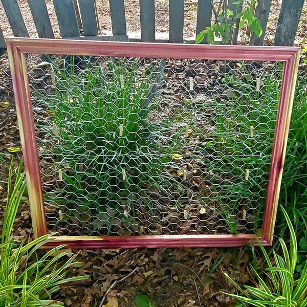 Chicken Wire Frame - Etsy