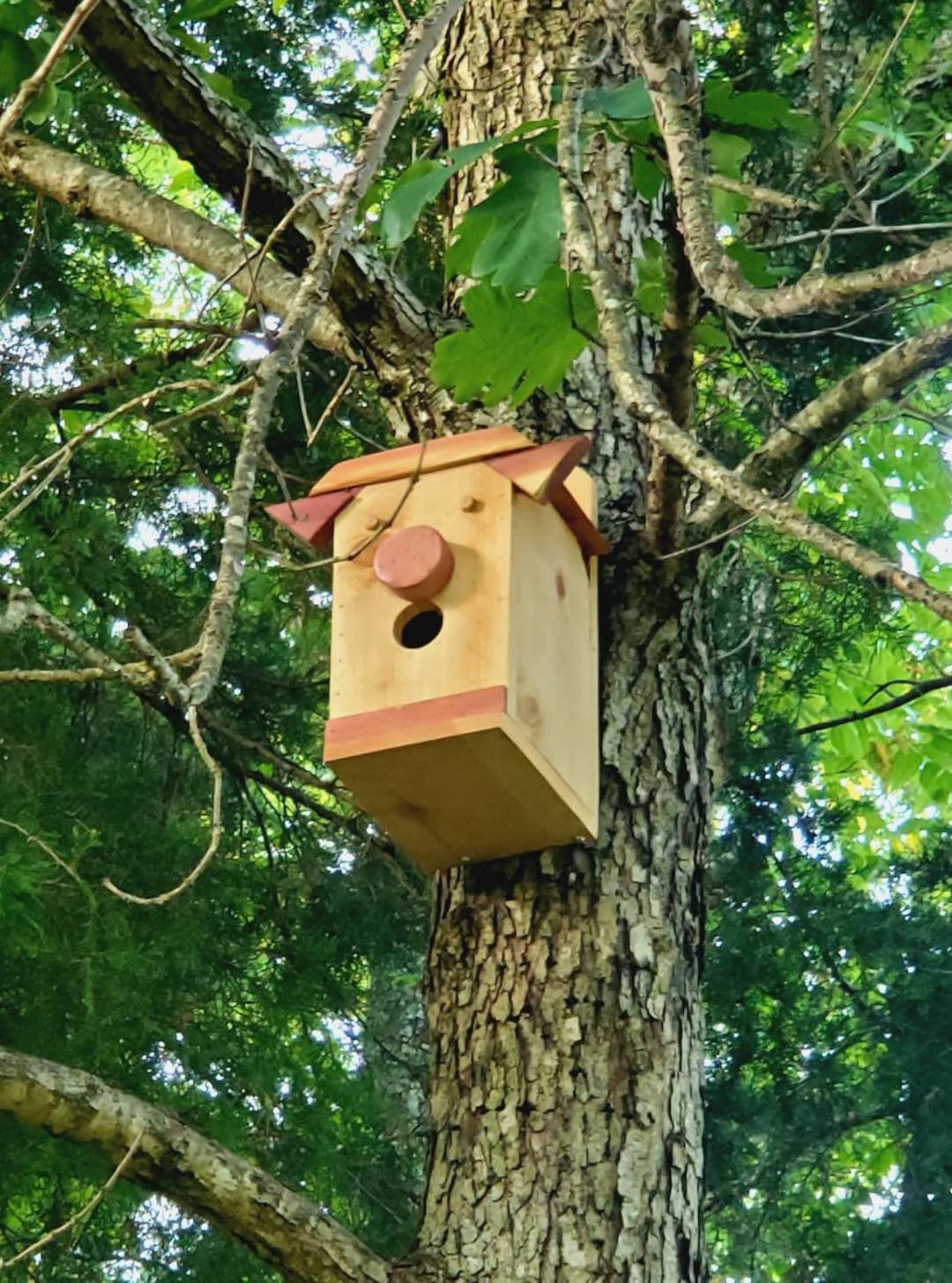 Farm Animal Themed Birdhouse, Wooden Birdhouse - Etsy