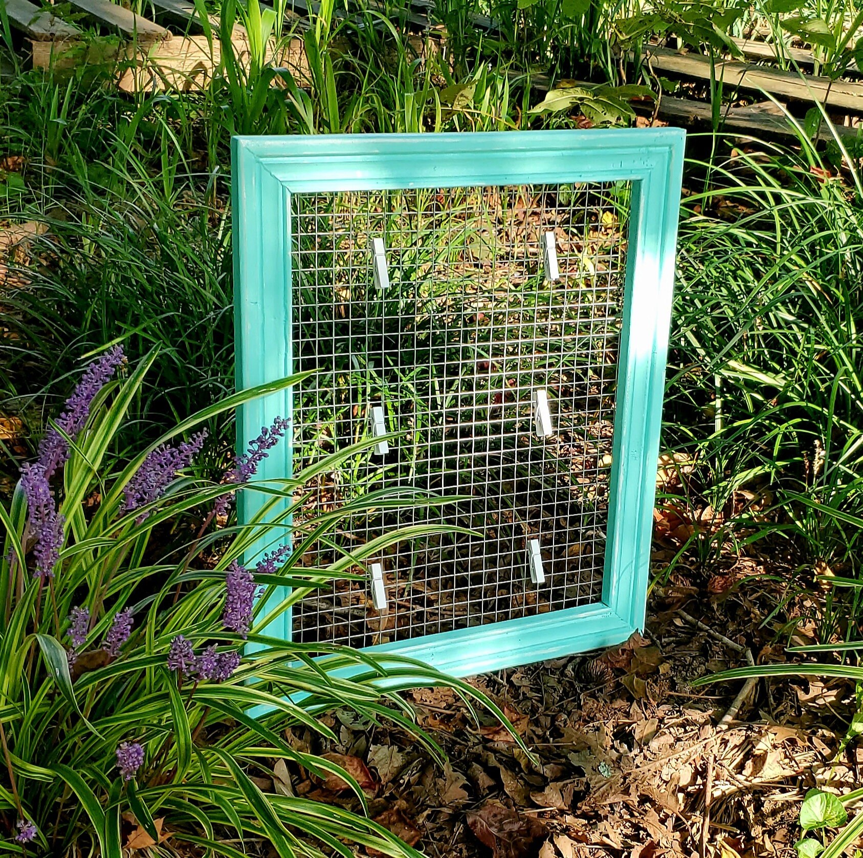 Chicken Wire Frame, 8x11 11x14 16x20 20x24 22x30, Farmhouse Chicken ...