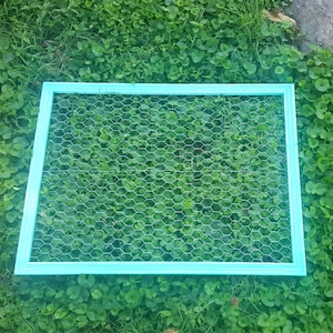 LARGE Chicken Wire Frame, Chicken Wire Decor, Large Chicken Wire Frame ...