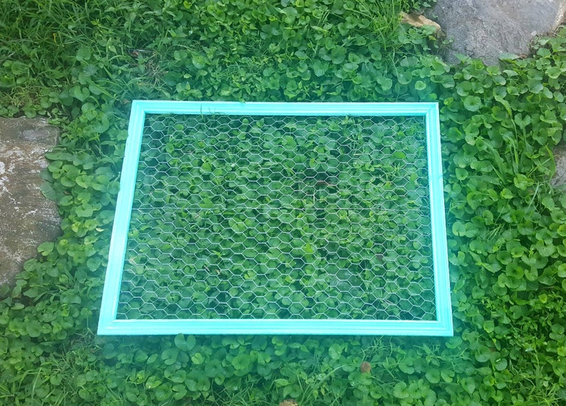 LARGE Chicken Wire Frame, Chicken Wire Decor, Large Chicken Wire Frame ...