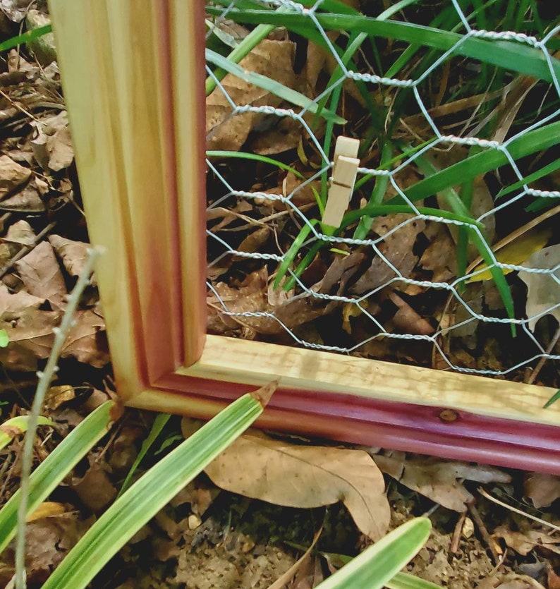 Cedar Chicken Wire Frames Farmhouse Chicken Wire Frame - Etsy