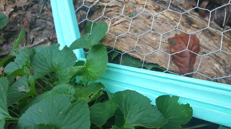 Hexagon Chicken Wire Frame Chicken Wire Photo Collage Frame - Etsy