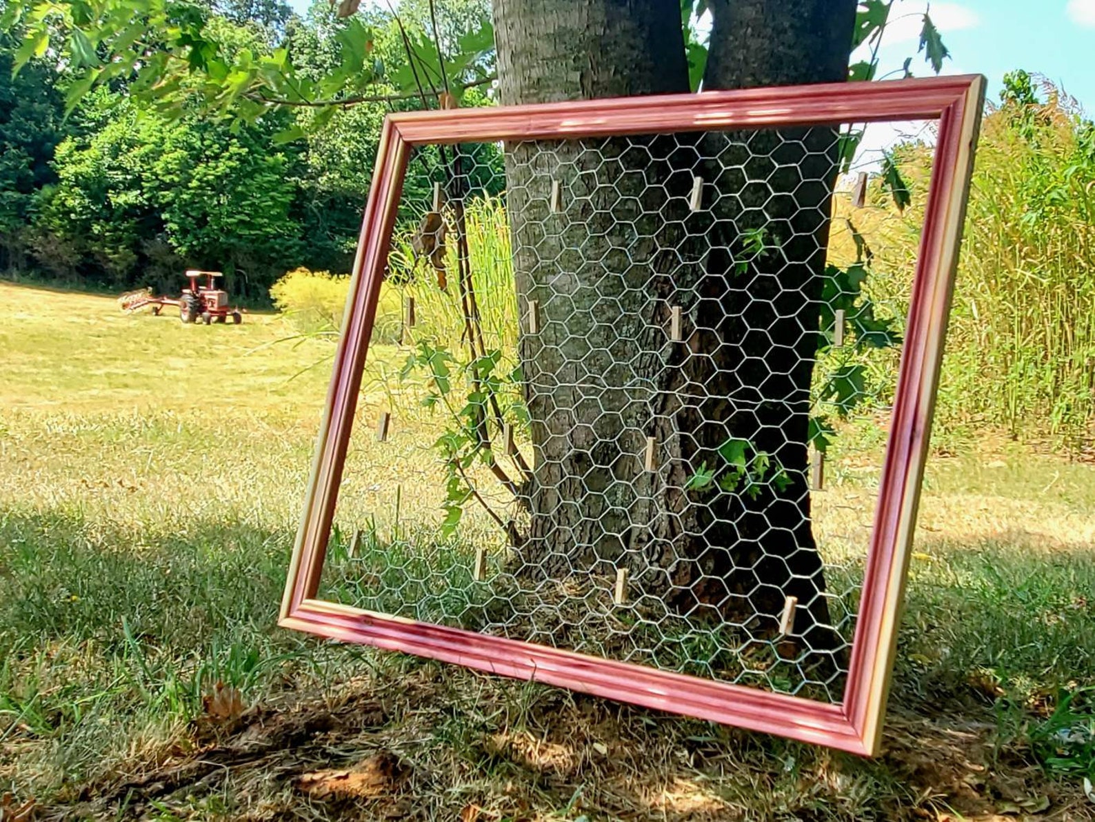Cedar Chicken Wire Frames Farmhouse Chicken Wire Frame - Etsy