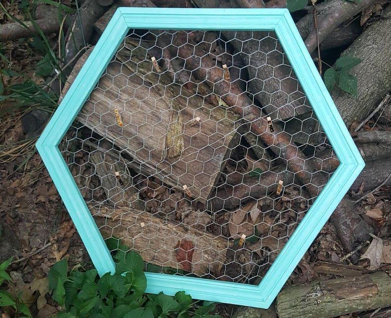 Hexagon Chicken Wire Frame, Chicken Wire Photo Collage Frame ...