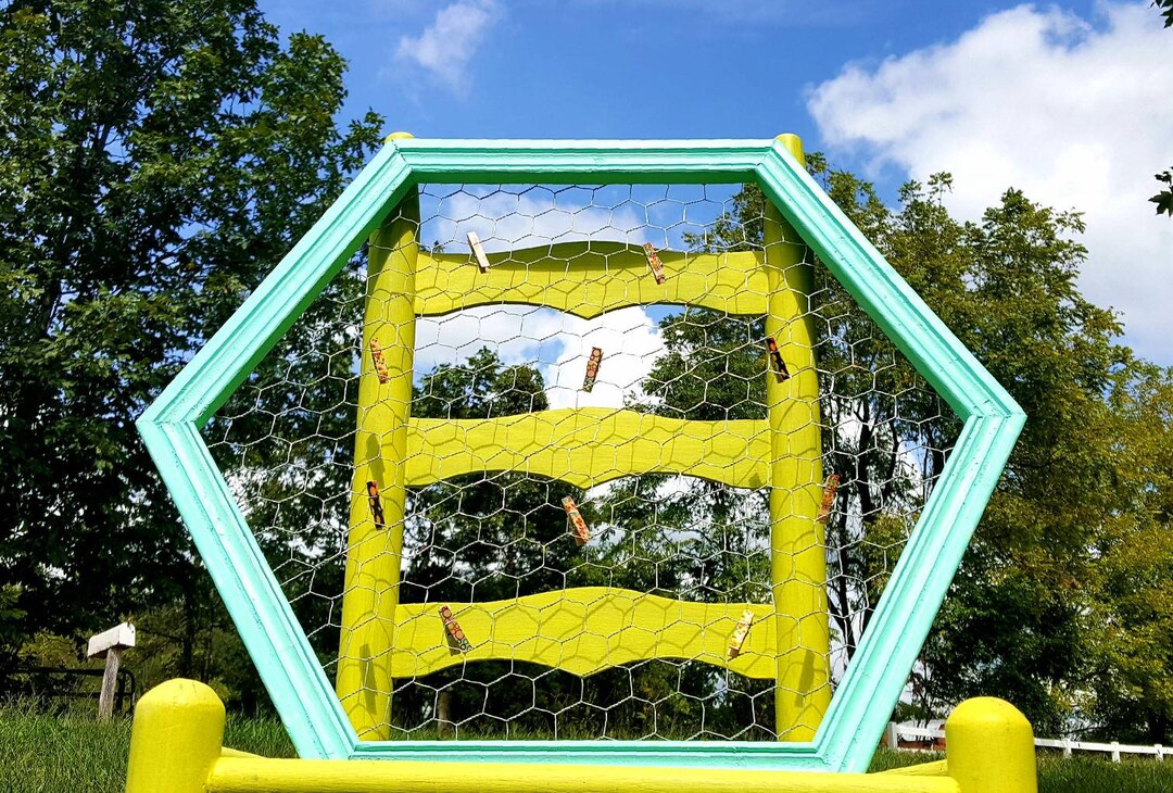 Hexagon Chicken Wire Frame, Chicken Wire Photo Collage Frame ...